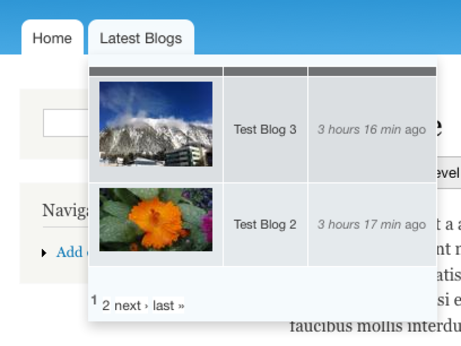 Drupal Mega Menus Made Simple | LevelTen